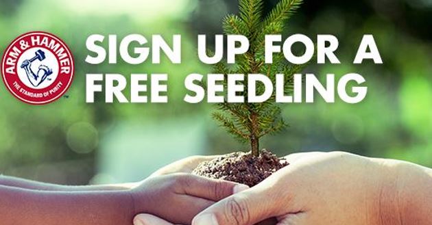 FREE Tree Seedling & Wildflower Seed Card From Arm & Hammer